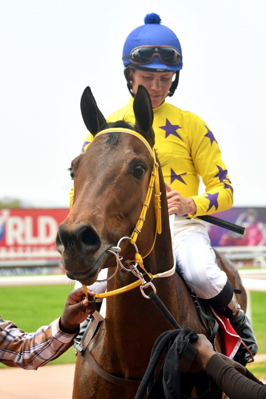 Upcoming Runners: Turffontein Inside - Thursday 10 November 2022 ...
