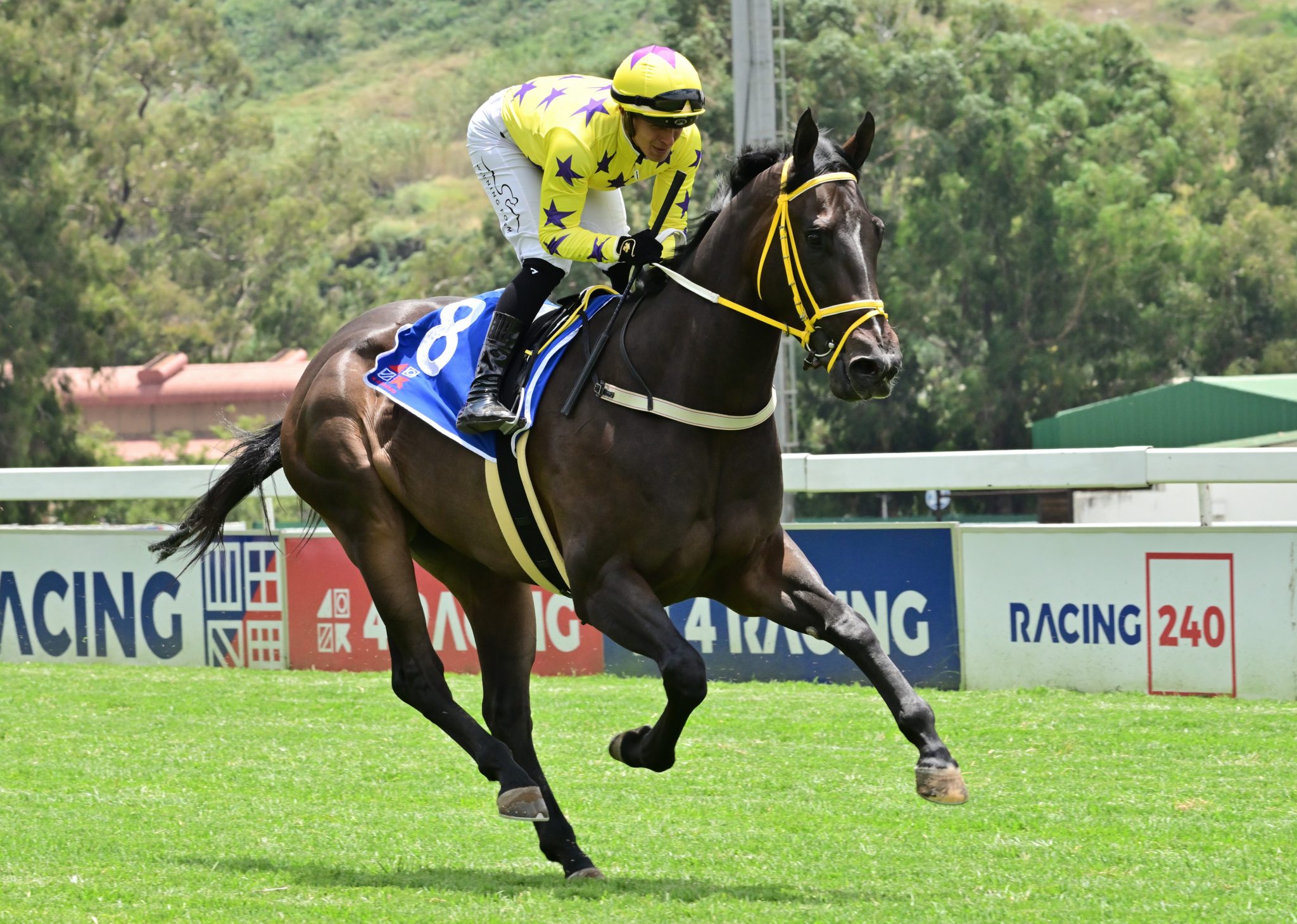Upcoming Runners: Turffontein Inside - Thursday 27 April 2023 ...