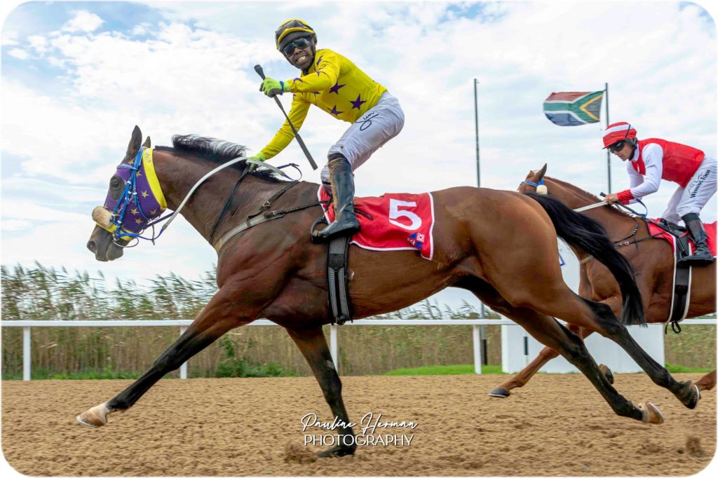 Upcoming Runners: Fairview Polytrack - Friday 11 August 2023 ...