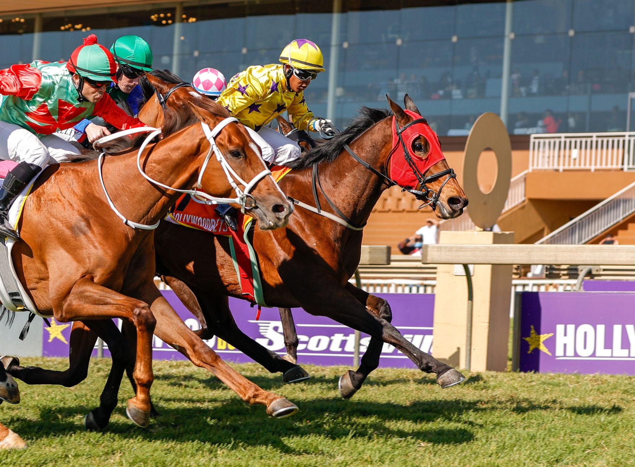 Upcoming Runners: Hollywoodbets Scottsville - Wednesday 24 January 2024 ...