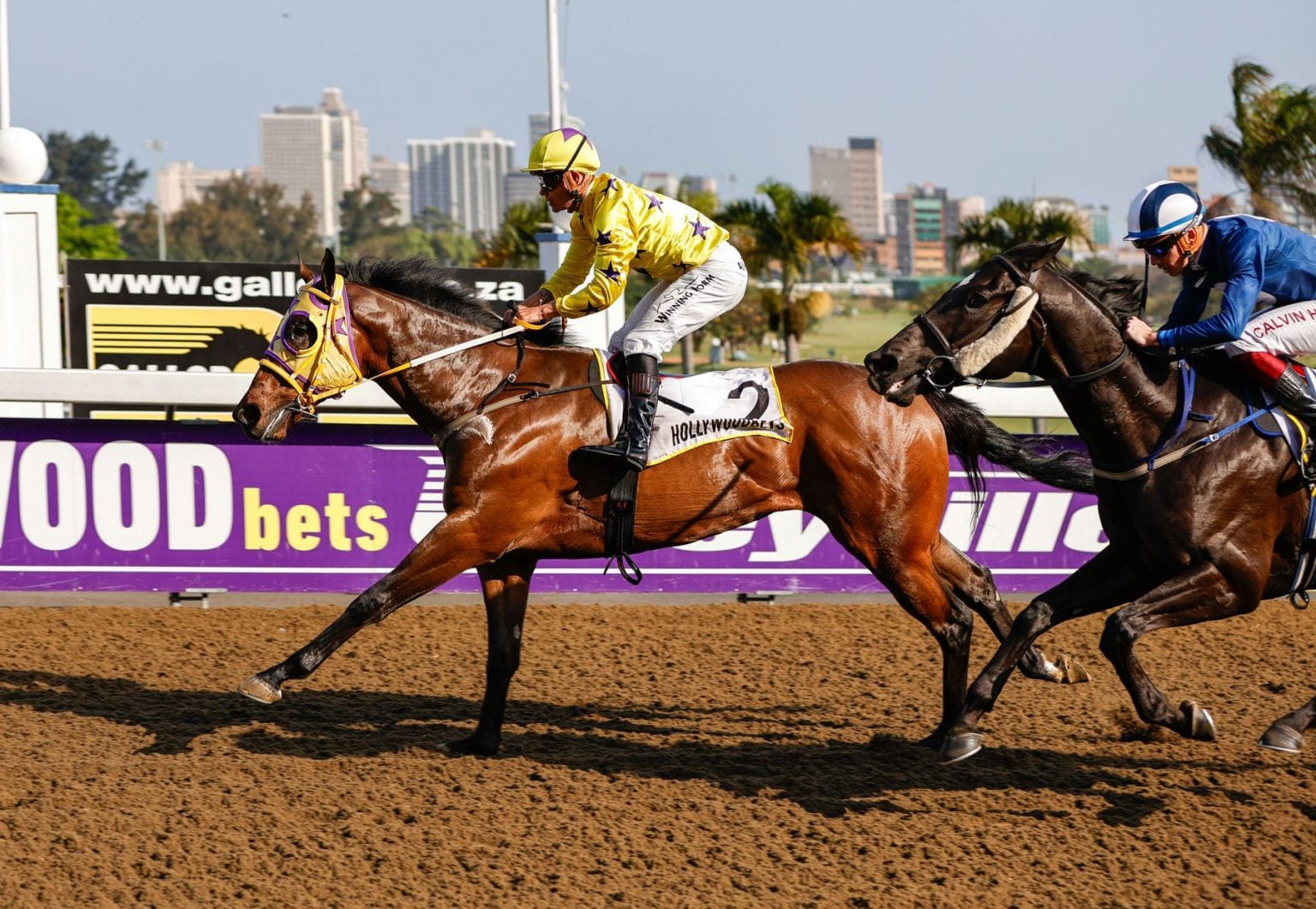 Upcoming Runners: Hollywoodbets Greyville Polytrack - Wednesday 25 ...