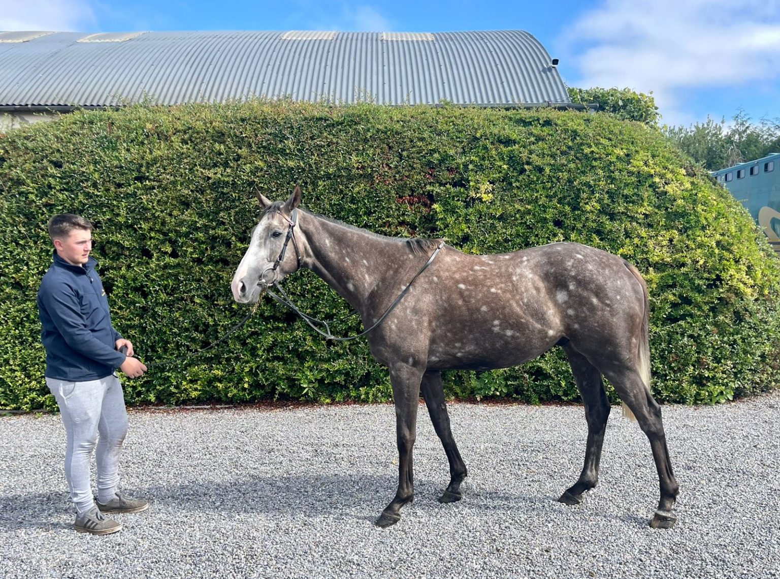 Il Etait Temps - Hollywood Racing