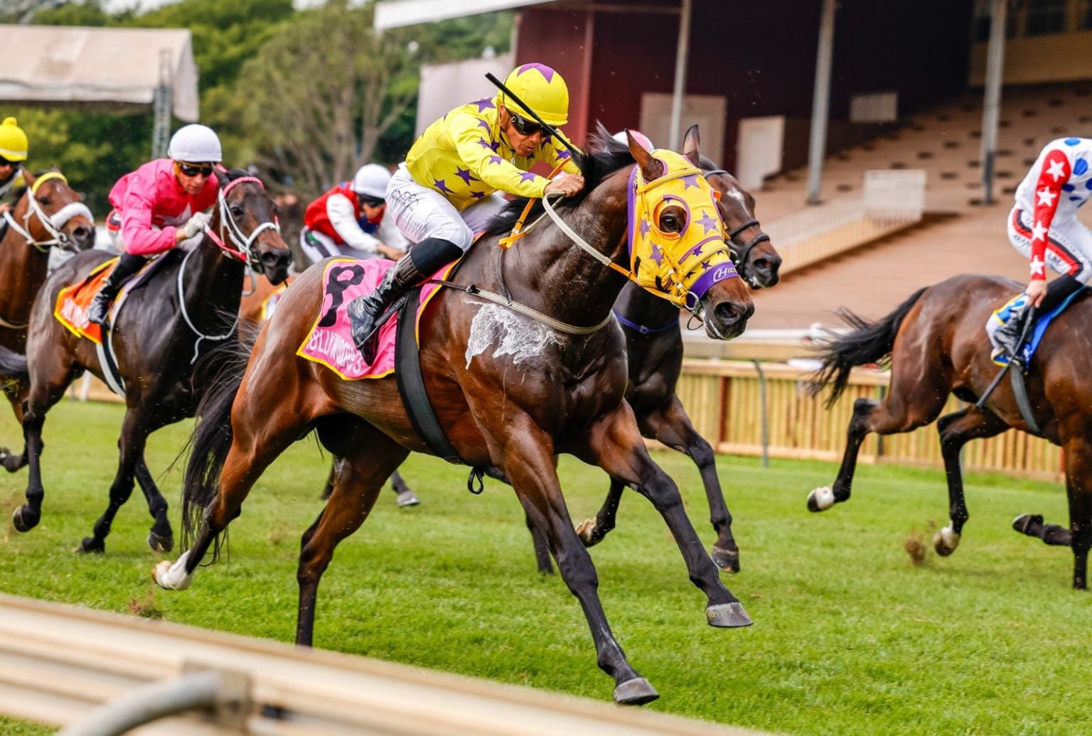 Upcoming Runners: Hollywoodbets Scottsville - Monday 29 January 2024 ...