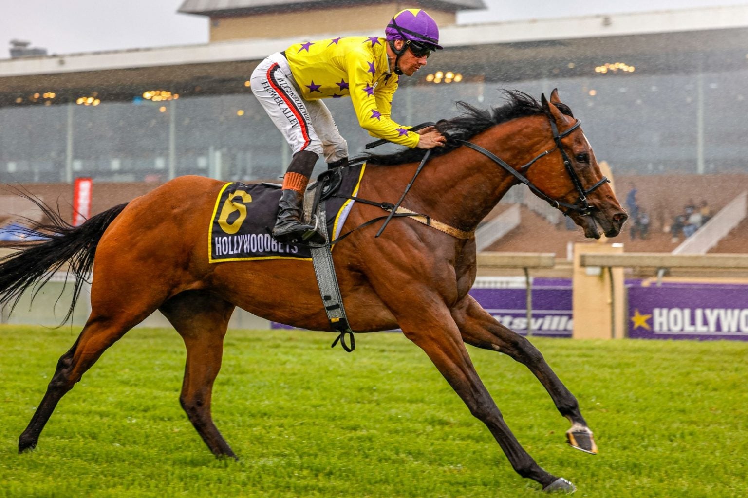 Upcoming Runners: Hollywoodbets Scottsville - Wednesday 20 March 2024 ...