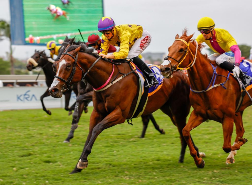 Upcoming Runners: Hollywoodbets Greyville - Sunday, 28 July 2024 ...
