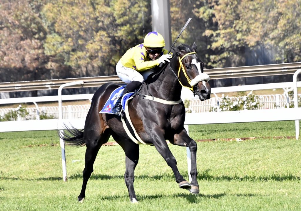 Upcoming Runners: Turffontein Inside - Saturday, 24 August 2024 ...