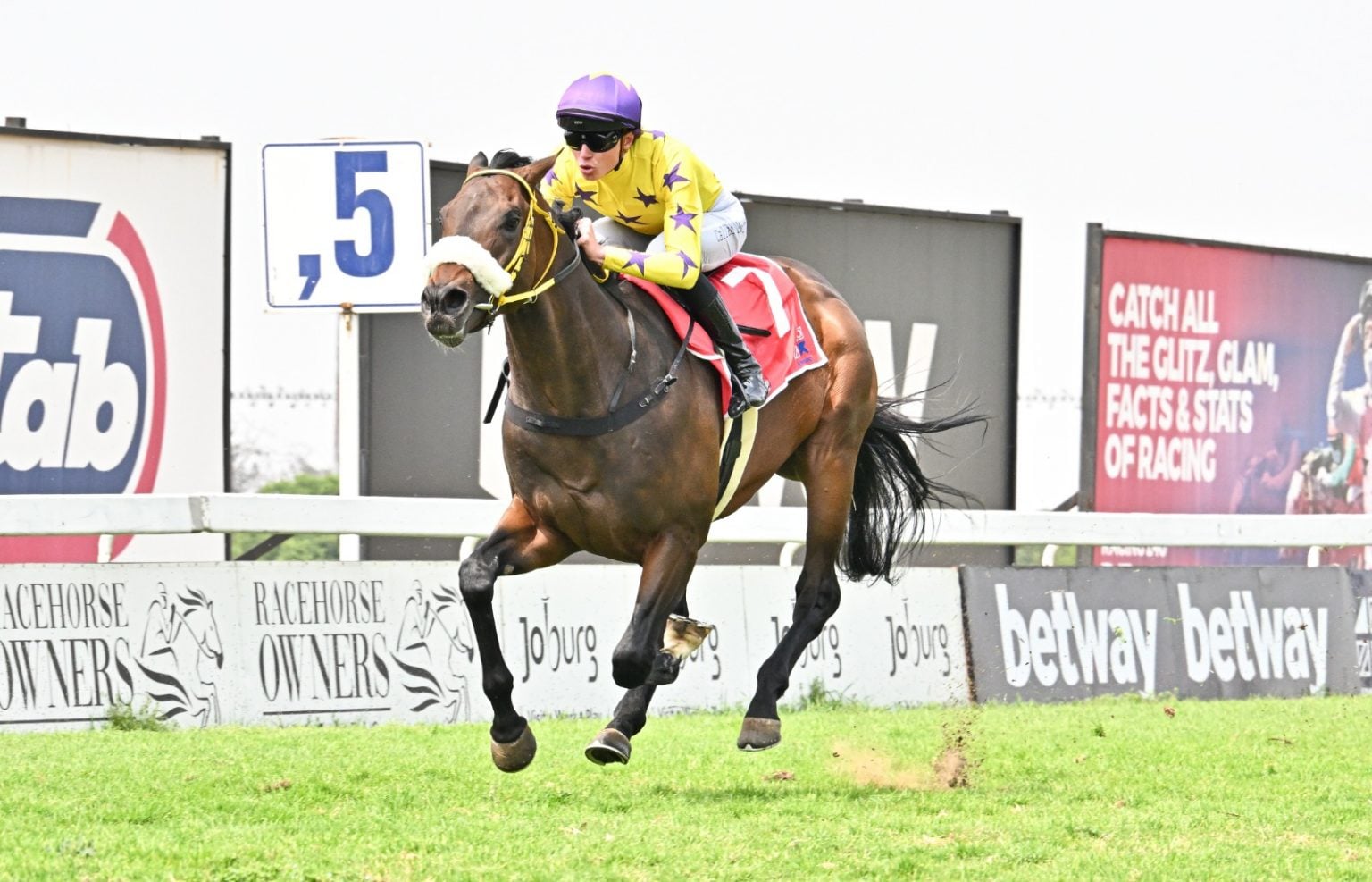Upcoming Runners: Turffontein Inside - Thursday, 6 November 2025 ...