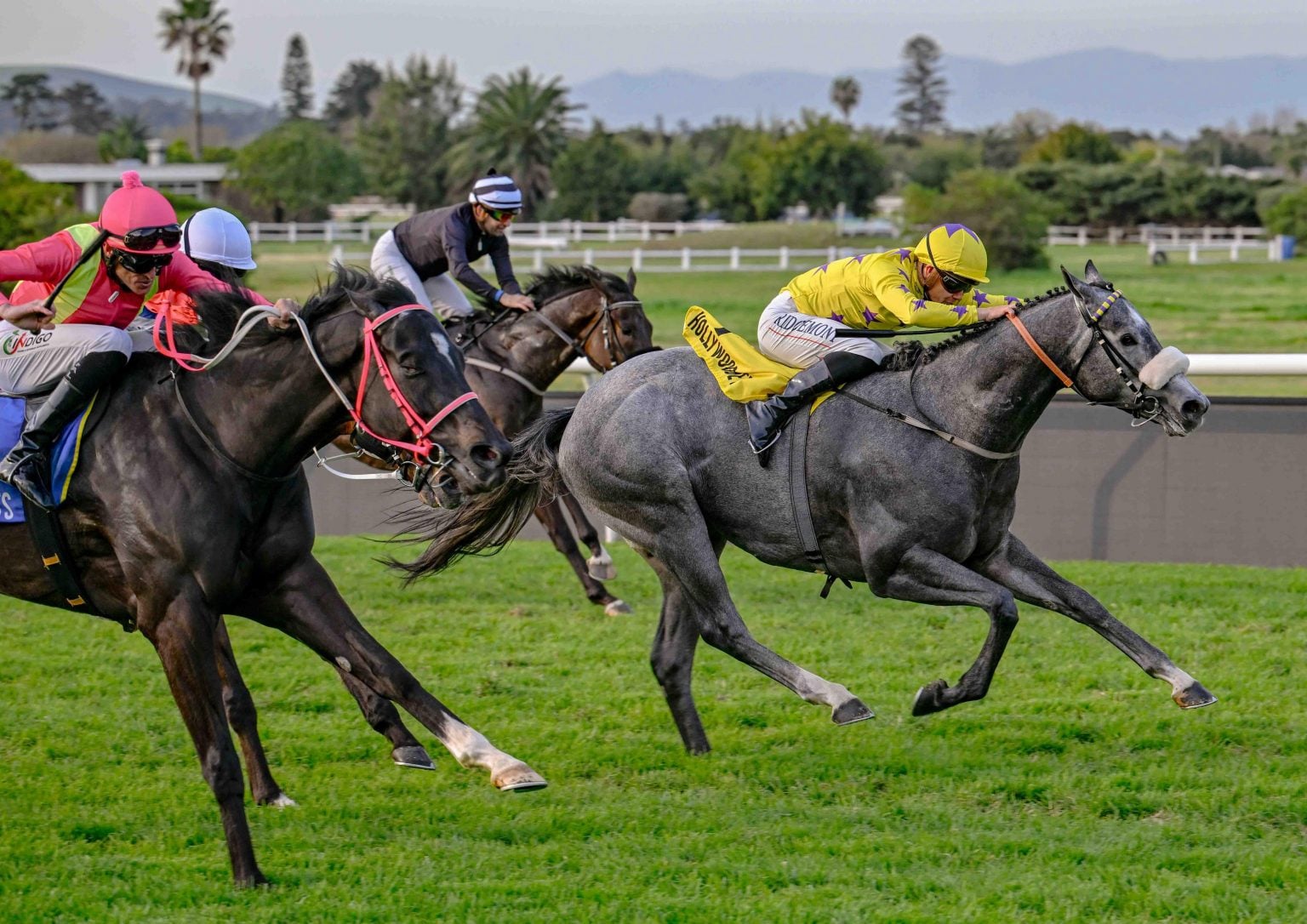 Upcoming Runners: Hollywoodbets Durbanville - Wednesday, 4 March 2026 ...