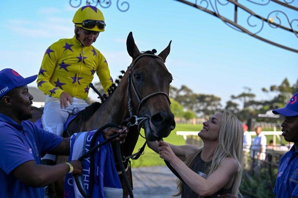 Upcoming Runners: Hollywoodbets Kenilworth - Wednesday, 19 November ...