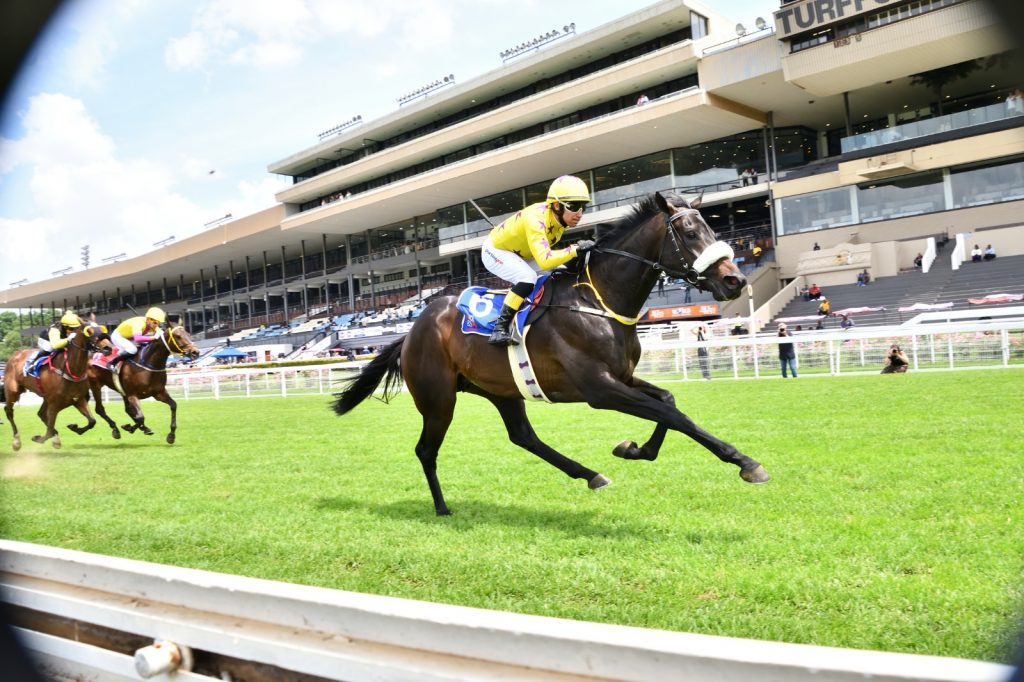 Upcoming Runners: Turffontein Standside - Saturday, 29 November 2025 ...