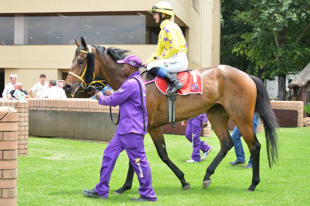 Upcoming Runners: Turffontein Inside - Thursday, 27 November 2025 ...