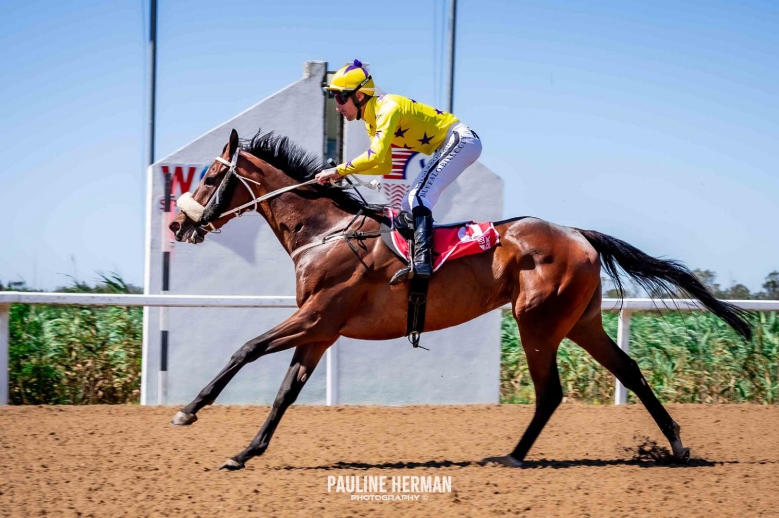 Upcoming Runners: Fairview Polytrack - Friday 23 January 2026 ...