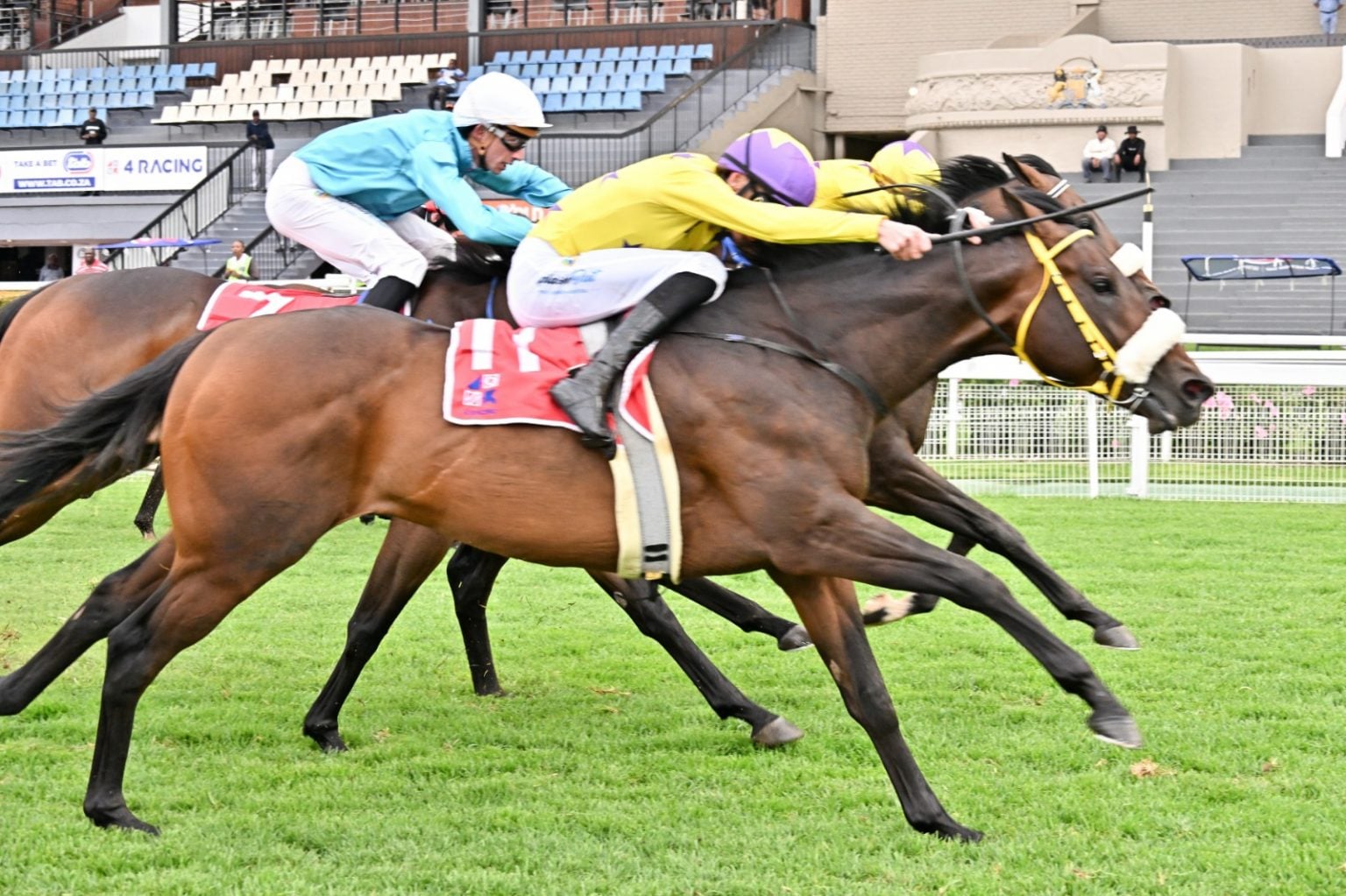 Upcoming Runners: Turffontein Inside - Thursday, 19 March 2026 ...