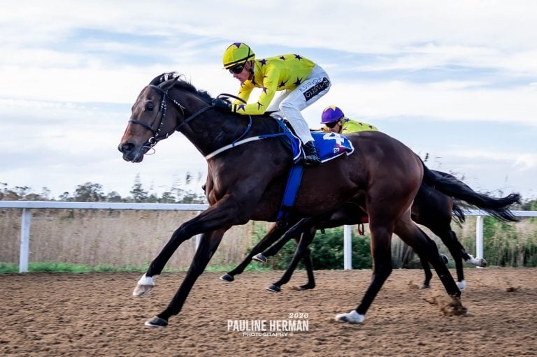 Upcoming Runners: Fairview Polytrack - Wednesday, 24 June 2026 ...